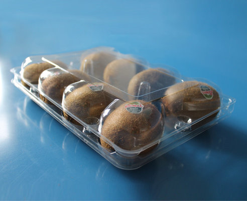 Manufactury Disposable plastic fruit packaging punnet Food grade material PET plastic food packaging box FDA EU approved