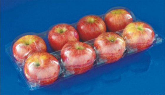 Manufactury Disposable plastic fruit packaging punnet Food grade material PET plastic food packaging box FDA EU approved