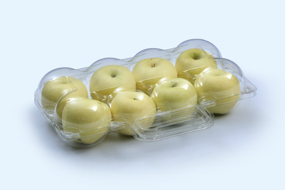 Manufactury Disposable plastic fruit packaging punnet Food grade material PET plastic food packaging box FDA EU approved