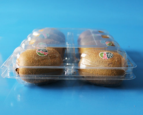 Manufactury Disposable plastic fruit packaging punnet Food grade material PET plastic kiwi packaging box FDA EU approved