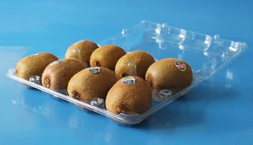 Manufactury Disposable plastic fruit packaging punnet Food grade material PET plastic kiwi packaging box FDA EU approved