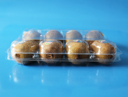Manufactury Disposable plastic fruit packaging punnet Food grade material PET plastic kiwi packaging box FDA EU approved