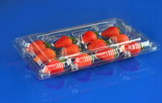 Disposable plastic fruit packaging container Food grade material PET plastic strawberry packaging box FDA EU approved