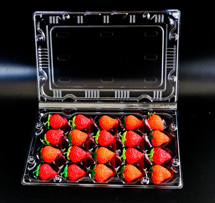 China Supply plastic fruit packaging container Food grade material PET plastic strawberry packaging box FDA EU approved