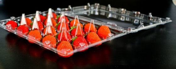 China Supply plastic fruit packaging container Food grade material PET plastic strawberry packaging box FDA EU approved