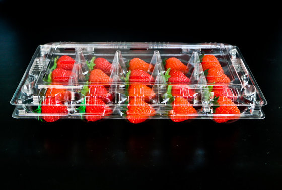 China Supply plastic fruit packaging container Food grade material PET plastic strawberry packaging box FDA EU approved