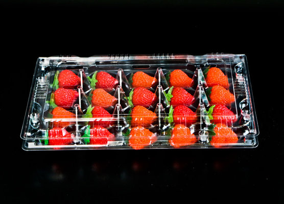 China Supply plastic fruit packaging container Food grade material PET plastic strawberry packaging box FDA EU approved