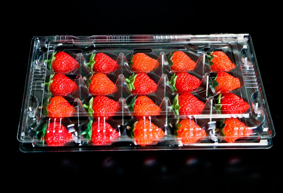 China Supply plastic fruit packaging container Food grade material PET plastic strawberry packaging box FDA EU approved