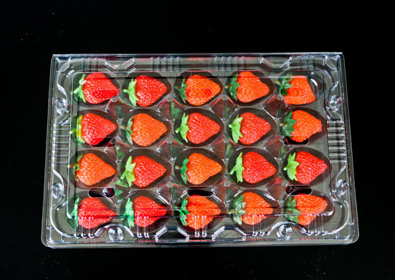 China Supply plastic fruit packaging container Food grade material PET plastic strawberry packaging box FDA EU approved