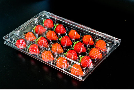 China Supply plastic fruit packaging container Food grade material PET plastic strawberry packaging box FDA EU approved