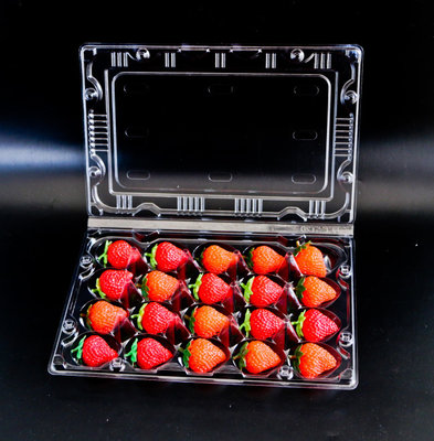 China Supply plastic fruit packaging container Food grade material PET plastic strawberry packaging box FDA EU approved
