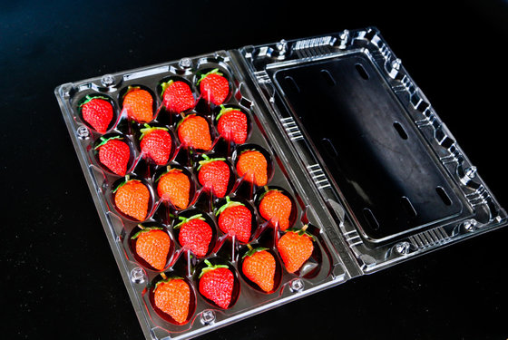 China Supply plastic fruit packaging container Food grade material PET plastic strawberry packaging box FDA EU approved