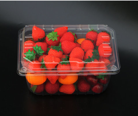 China Supply plastic fruit packaging container Food grade material PET plastic vegetable packaging box FDA EU approved
