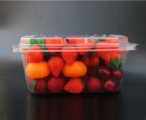 China Supply plastic fruit packaging container Food grade material PET plastic vegetable packaging box FDA EU approved