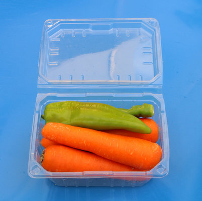 China Supply plastic fruit packaging container Food grade material PET plastic vegetable packaging box FDA EU approved