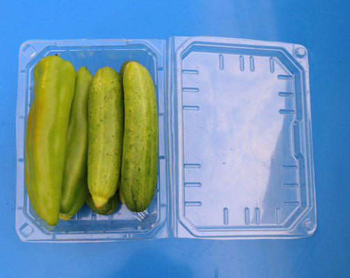 China Supply plastic fruit packaging container Food grade material PET plastic vegetable packaging box FDA EU approved