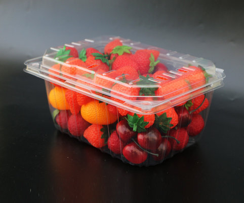 China Supply plastic fruit packaging container Food grade material PET plastic vegetable packaging box FDA EU approved