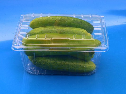 China Supply plastic fruit packaging container Food grade material PET plastic vegetable packaging box FDA EU approved