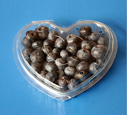 Fruit packaging container Food grade material PET plastic blueberry packaging box FDA EU approved