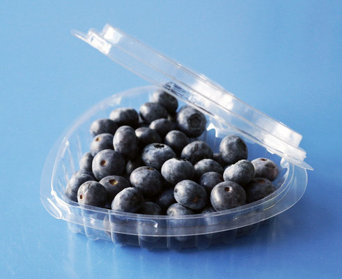 Fruit packaging container Food grade material PET plastic blueberry packaging box FDA EU approved
