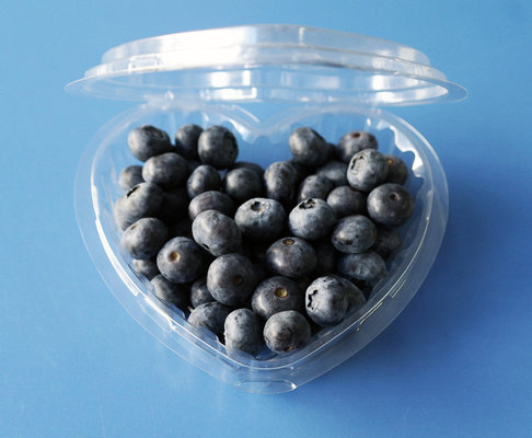 Fruit packaging container Food grade material PET plastic blueberry packaging box FDA EU approved