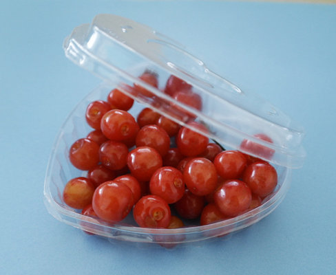 Fruit packaging container Food grade material PET plastic blueberry packaging box FDA EU approved