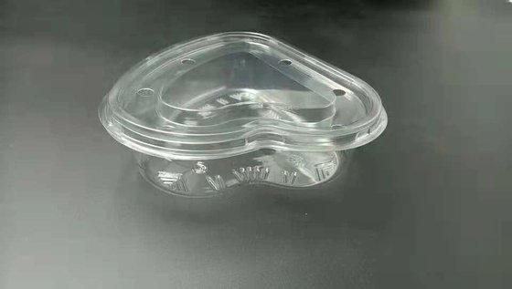 Fruit packaging container Food grade material PET plastic blueberry packaging box FDA EU approved
