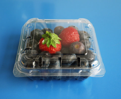 Disposable plastic fruit packaging punnets 125 Grams Blueberry packaging container PET food grade material packaging box