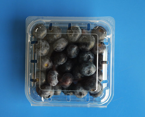 Disposable plastic fruit packaging punnets 125 Grams Blueberry packaging container PET food grade material packaging box