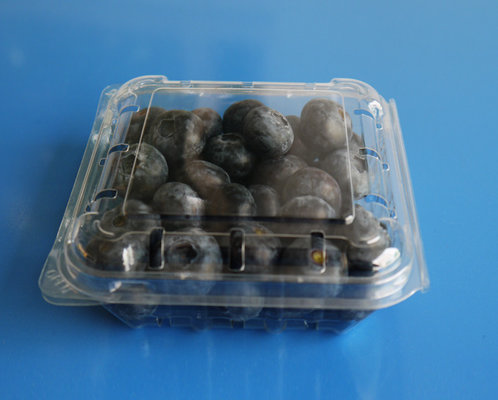 Disposable plastic fruit packaging punnets 125 Grams Blueberry packaging container PET food grade material packaging box