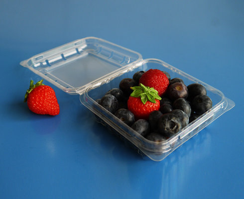 Disposable plastic fruit packaging punnets 125 Grams Blueberry packaging container PET food grade material packaging box