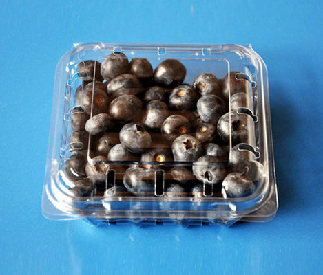 Disposable plastic fruit packaging punnets 125 Grams Blueberry packaging container PET food grade material packaging box