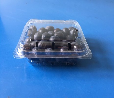 Disposable plastic fruit packaging punnets 125 Grams Blueberry packaging container PET food grade material packaging box