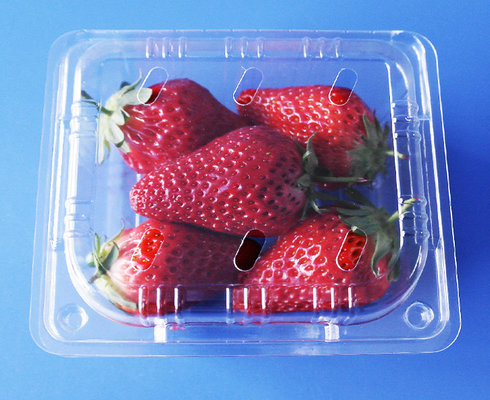 PET Food grade Disposable plastic strawberry packaging punnets 250 grams Tomatoes Mushroom packaging box FDA EU approved