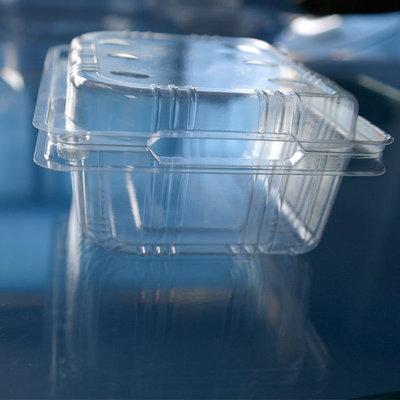 PET Food grade Disposable plastic strawberry packaging punnets 250 grams Tomatoes Mushroom packaging box FDA EU approved