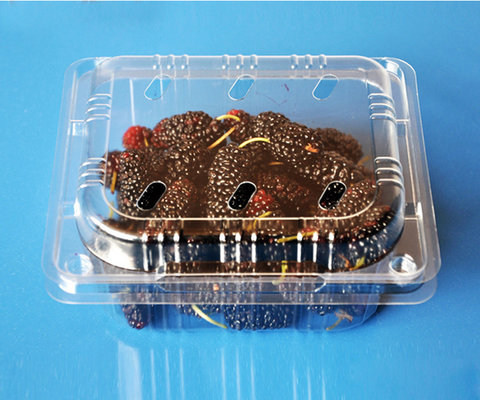 PET Food grade Disposable plastic strawberry packaging punnets 250 grams Tomatoes Mushroom packaging box FDA EU approved