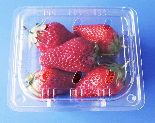 PET Food grade Disposable plastic strawberry packaging punnets 250 grams Tomatoes Mushroom packaging box FDA EU approved