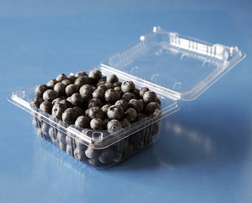 PET Food grade Disposable plastic strawberry packaging punnets 250 grams Tomatoes Mushroom packaging box FDA EU approved