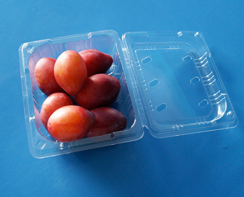 PET Food grade Disposable plastic strawberry packaging punnets 250 grams Tomatoes Mushroom packaging box FDA EU approved