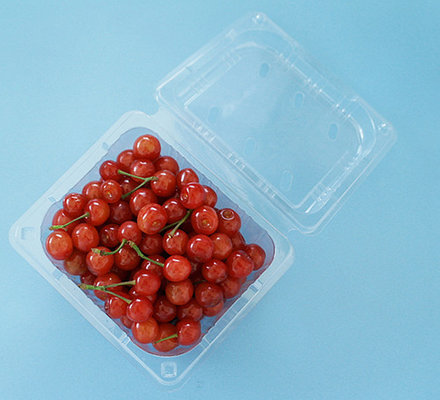 PET Food grade Disposable plastic strawberry packaging punnets 250 grams Tomatoes Mushroom packaging box FDA EU approved