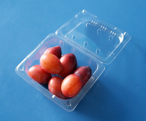 PET Food grade Disposable plastic strawberry packaging punnets 250 grams Tomatoes Mushroom packaging box FDA EU approved