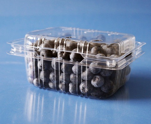 PET Food grade Disposable plastic strawberry packaging punnets 250 grams Tomatoes Mushroom packaging box FDA EU approved