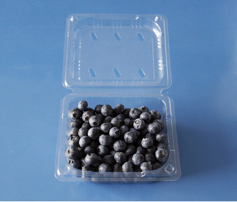 PET Food grade Disposable plastic strawberry packaging punnets 250 grams Tomatoes Mushroom packaging box FDA EU approved