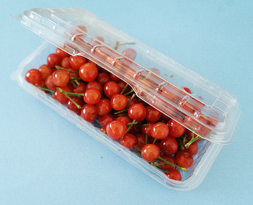 China Manufactory Disposable plastic blueberry packaging punnets 250 grams blueberry packaging box/container FDA approve