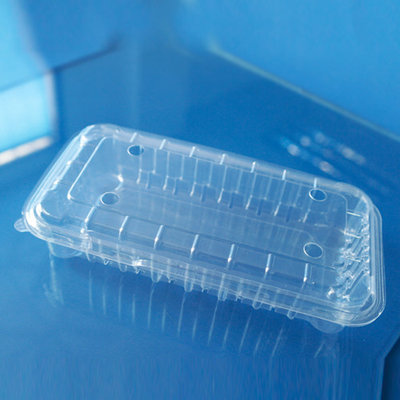 China Manufactory Disposable plastic blueberry packaging punnets 250 grams blueberry packaging box/container FDA approve