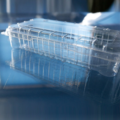 China Manufactory Disposable plastic blueberry packaging punnets 250 grams blueberry packaging box/container FDA approve
