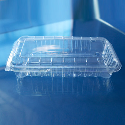 China Manufactory Disposable plastic blueberry packaging punnets 250 grams blueberry packaging box/container FDA approve