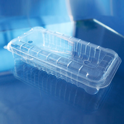 China Manufactory Disposable plastic blueberry packaging punnets 250 grams blueberry packaging box/container FDA approve