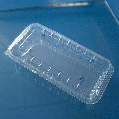 China Manufactory Disposable plastic blueberry packaging punnets 250 grams blueberry packaging box/container FDA approve