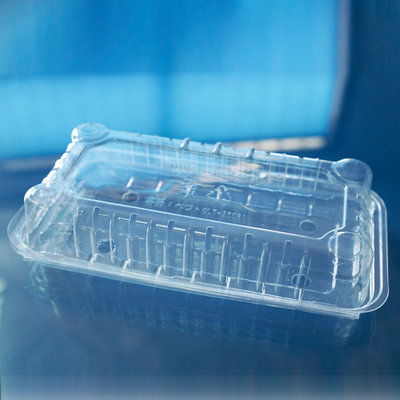 China Manufactory Disposable plastic blueberry packaging punnets 250 grams blueberry packaging box/container FDA approve